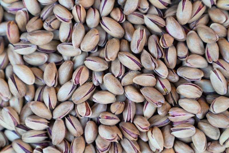 Sam Fistigi Stock Photos - Free & Royalty-Free Stock Photos from Dreamstime