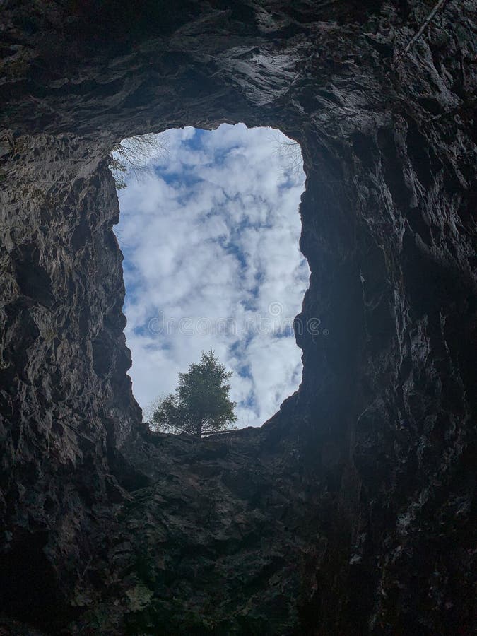 Top View from the Pit, with Dark Earthen Walls, a Growing Tree and Sky ...