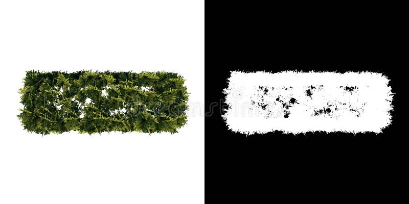 Top View of Plant Rectangular Bush 1 Tree Png with Alpha Channel To ...