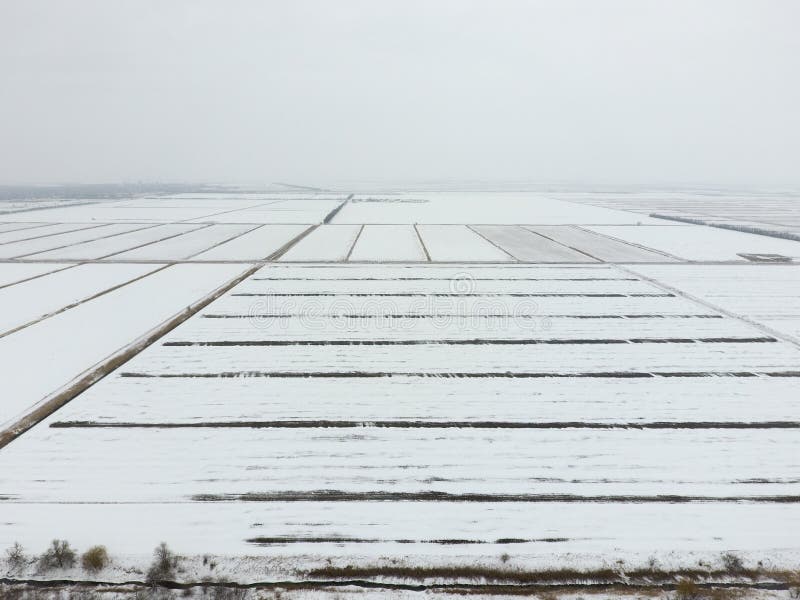 Top View of a Plowed Field in Winter. a Field of Wheat in the Snow ...