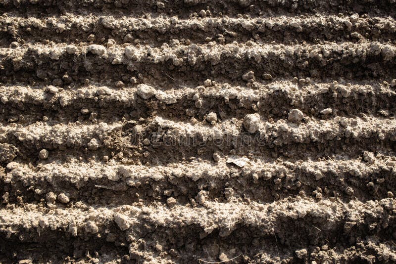 Top View of Plowed Rows of Soil in a Field Stock Image - Image of soil ...