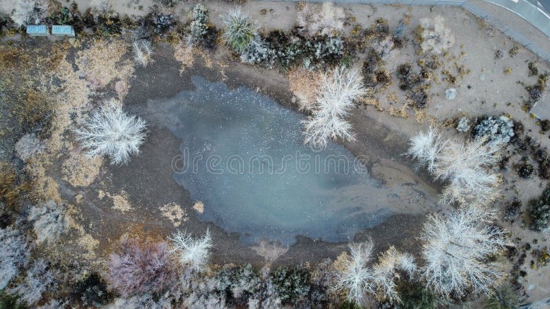 Top View of a Pond with Frozen Surface Surrounded by Plants and Bushes ...