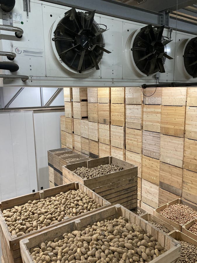 Top View of a Potato Storage. Refrigeration Equipment. Ventilation ...