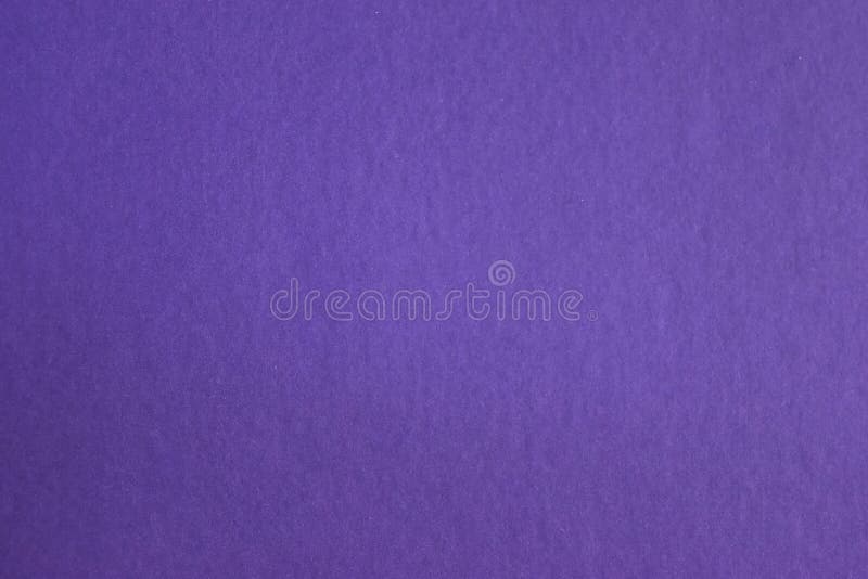 Top View of Purple Lilac Flowers on White Marble Background. Stock ...