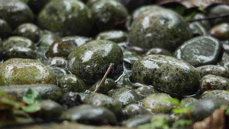 Top View of Rain Dropping on Stone Stock Video - Video of fresh, round ...