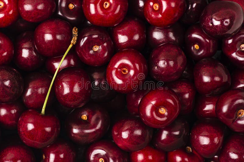 Top View on Cherry Background. Close Up on Summer Food Banner with ...