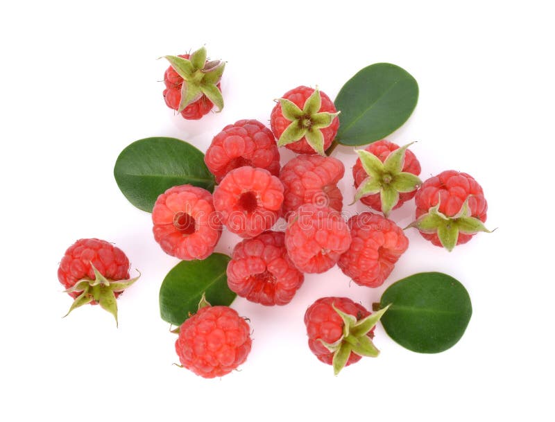 Top View of Raspberries Isolated on White Background Stock Image ...