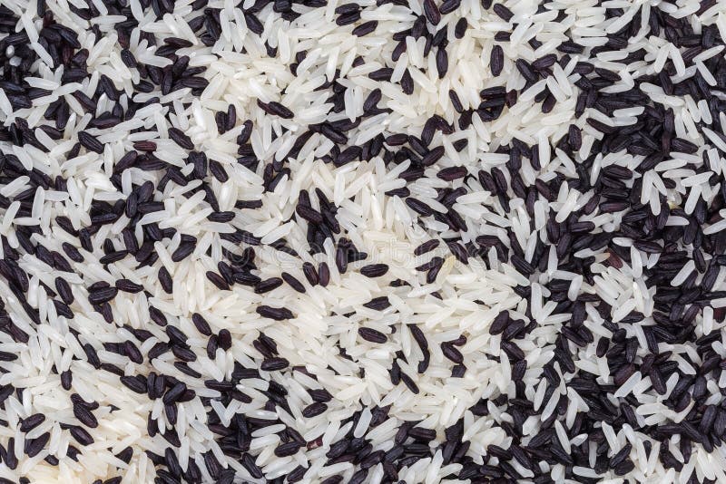 Top View of the Raw Black and White Rice Mixture Stock Photo - Image of ...
