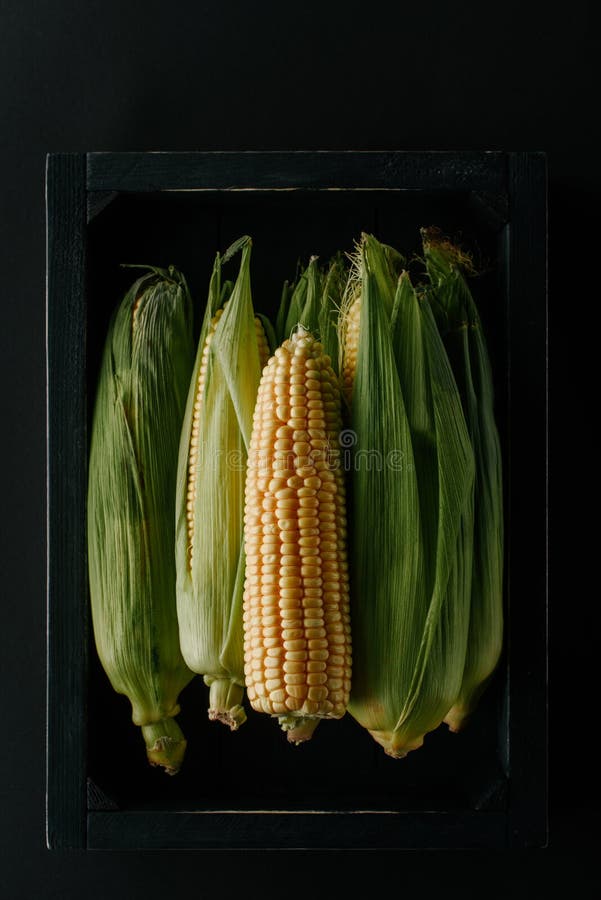 Top View of Raw Fresh Corn Cobs in Wooden Box Stock Image - Image of ...