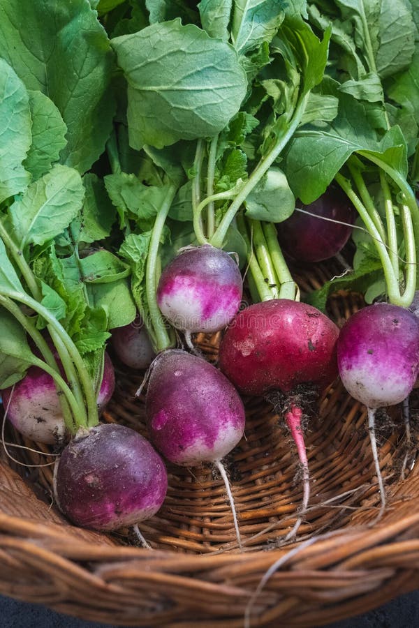 Top View of the Raw Radish in the Basket Stock Photo - Image of fresh ...