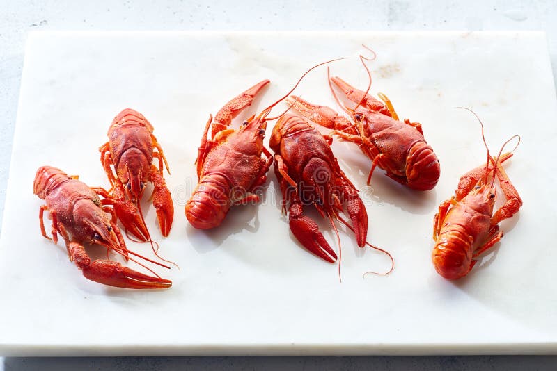 Top view of red crayfish stock photo. Image of pincer - 204275246