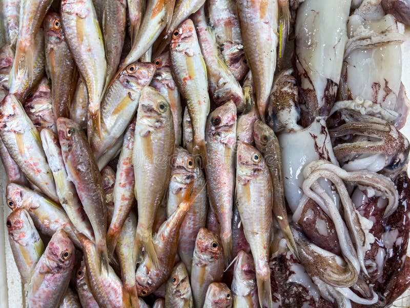 Top View of Raw Red Mullet Fish on Ice on Display at Seafood Fish ...
