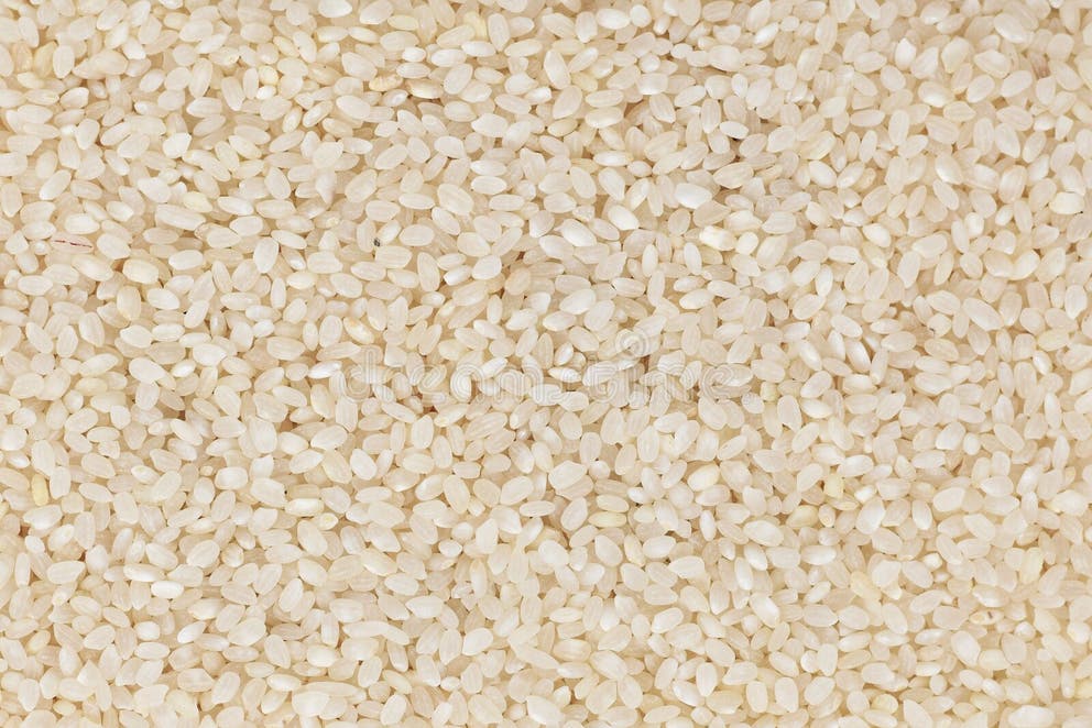 Raw round grain rice stock image. Image of real, uncooked - 269232211