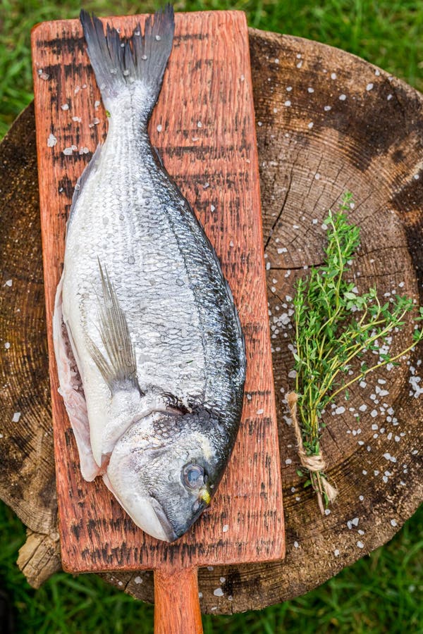 Top View of Raw Whole Sea Bream Preparing for Grilling Stock Image ...
