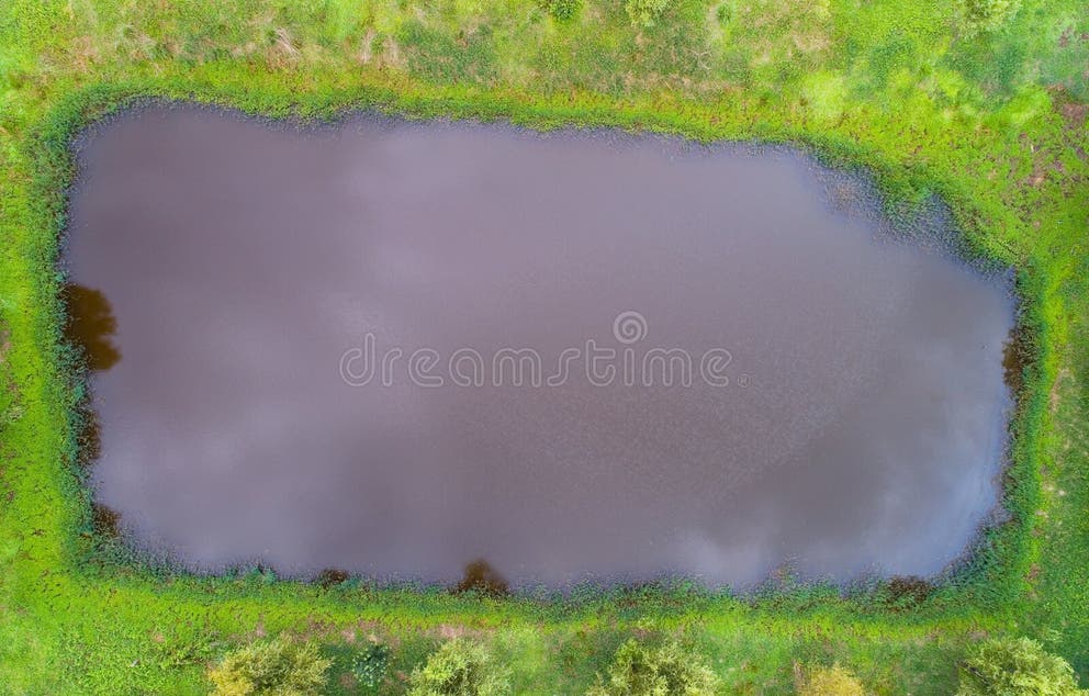 A Top View of a Rectangular Pond. Stock Photo - Image of view, framing ...