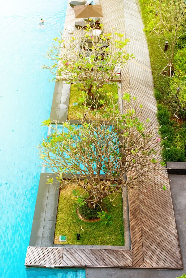 Top View on Rectangular Pool with Turquoise Water Stock Photo - Image ...