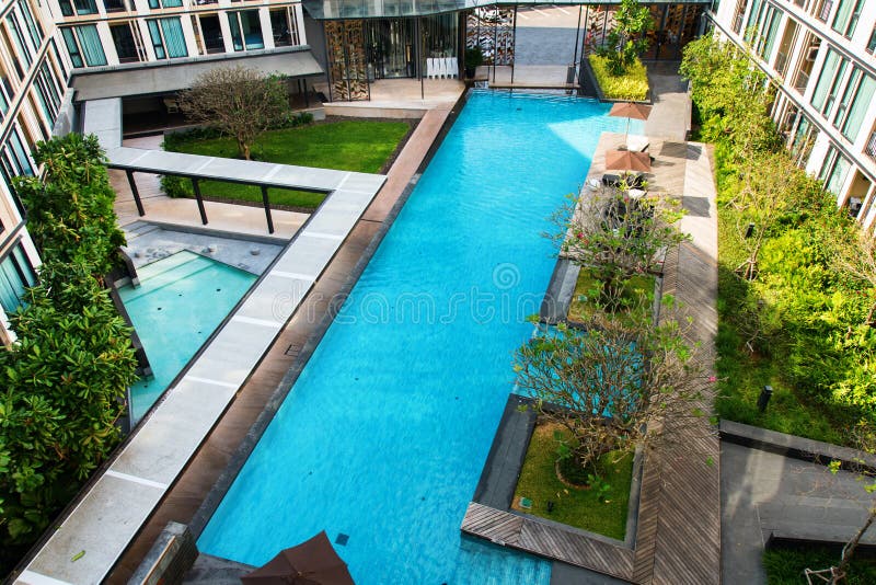 Rectangular Pool with Blue Water among Olive Groves and Agave, Sun ...