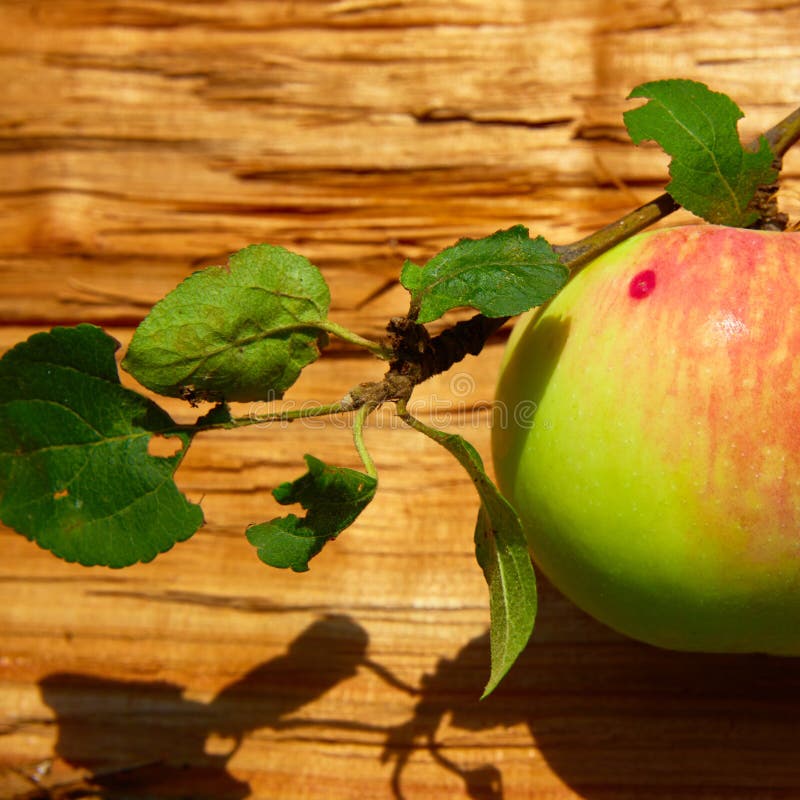 Top view red apple. stock photo. Image of agriculture - 57678592