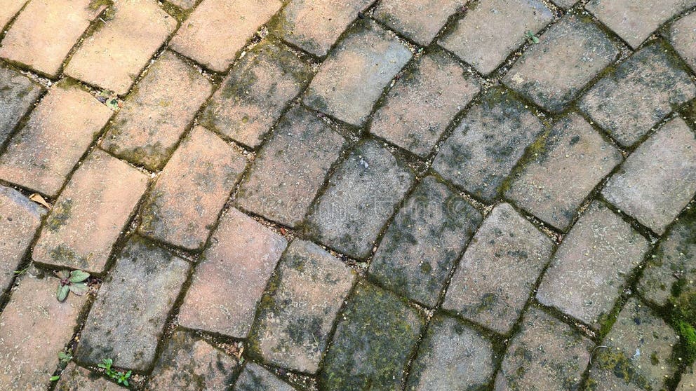 Top View of Red Bricks Paving Stones Footpath on a Sidewalk Outdoors ...