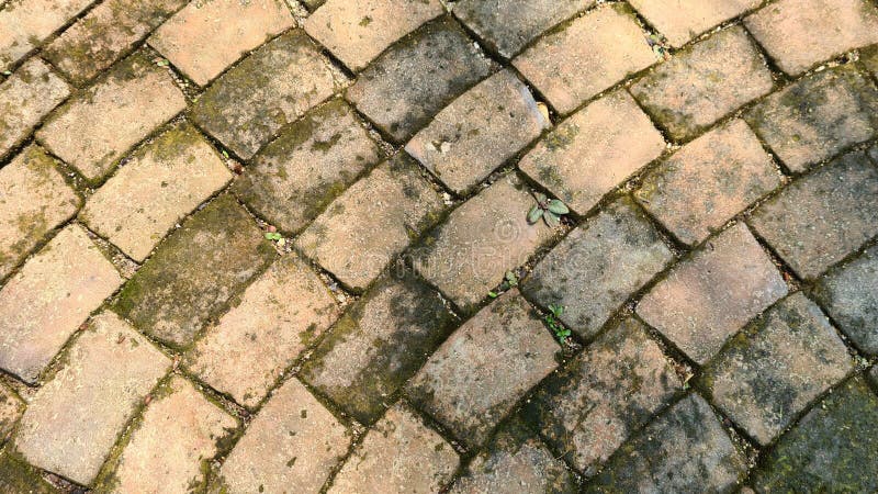Top View of Red Bricks Paving Stones Footpath on a Sidewalk Outdoors ...