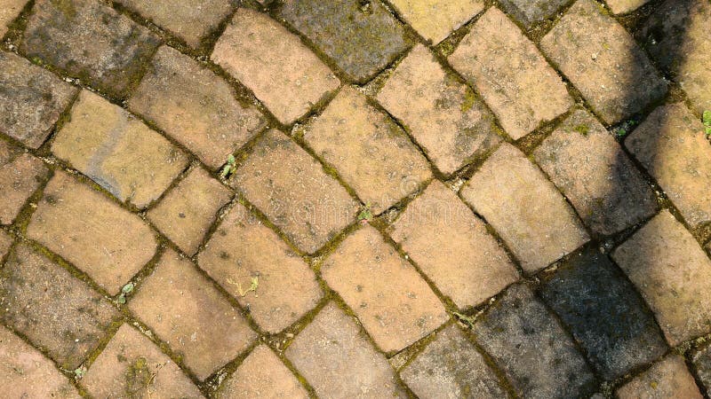 Top View of Red Bricks Paving Stones Footpath on a Sidewalk Outdoors ...