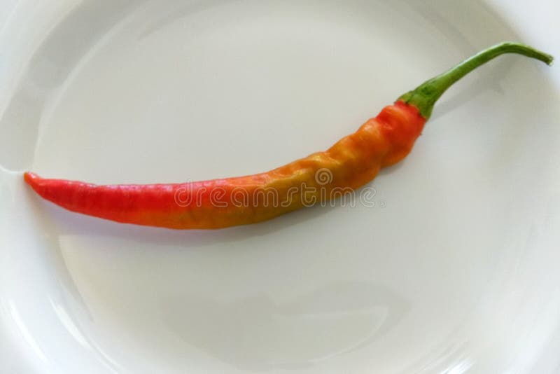 Top View of a Red Chili Pepper on a White Plate Stock Image - Image of ...