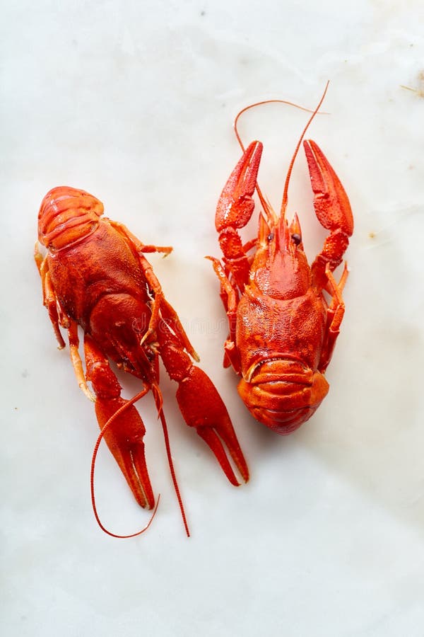 Top view of red crayfish stock image. Image of epicure - 204275321
