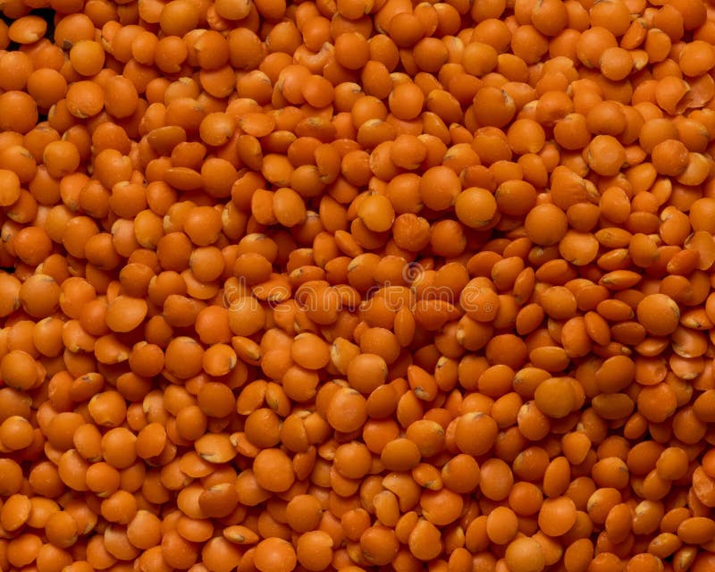 Top View of a Red Lentil Texture Stock Photo - Image of texture ...