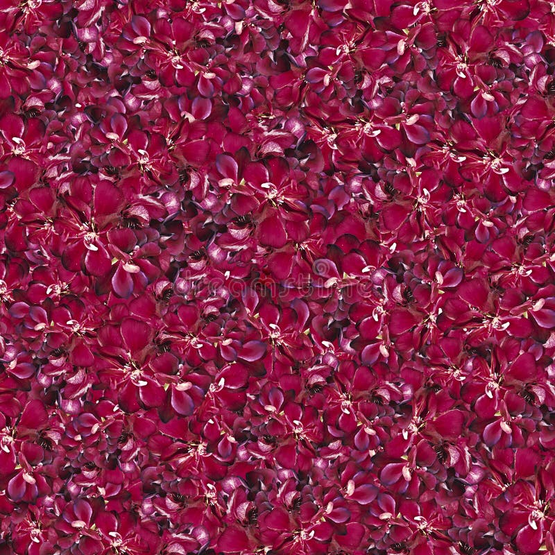 Red Malvon Motif Random Pattern Stock Illustration - Illustration of ...