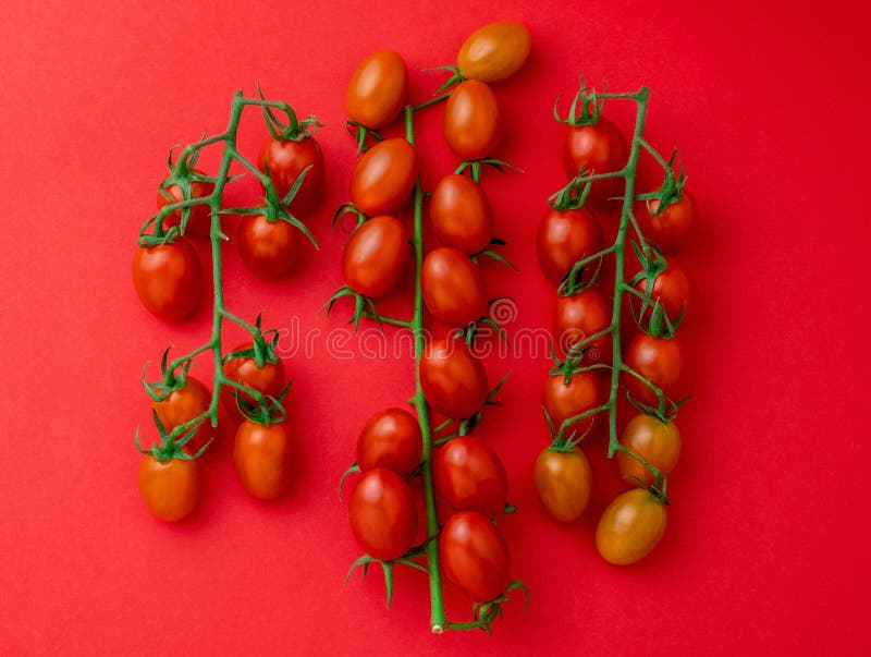 Top View Red Mini Tomatoes on a Red Background Stock Photo - Image of ...