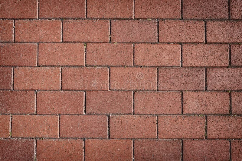 Top view red paving slabs. stock image. Image of texture - 362790263