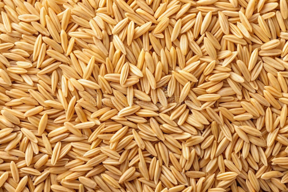 The Top View Rice Husks. for Wallpaper and Backdrop with Copy Space ...