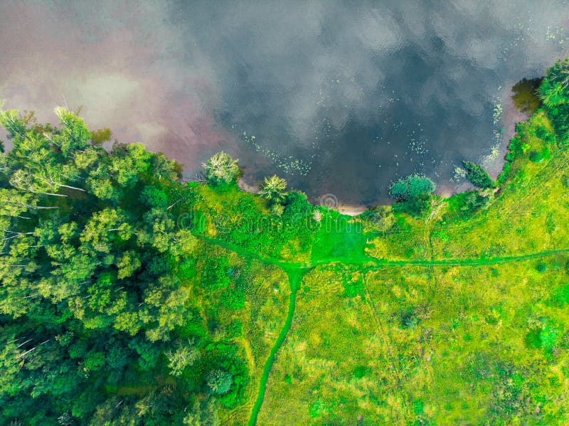 Top View of the River Bank, Green Forest and Field Stock Image - Image ...
