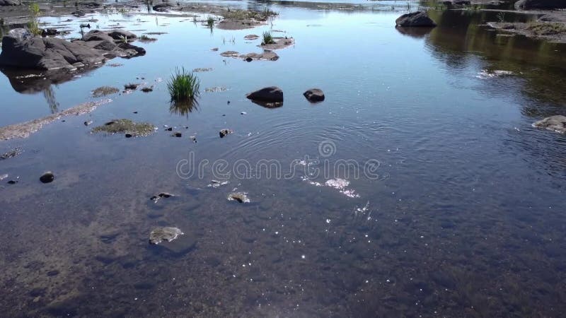 Top View of a River Flowing Downstream, Looking at the Rapids during ...