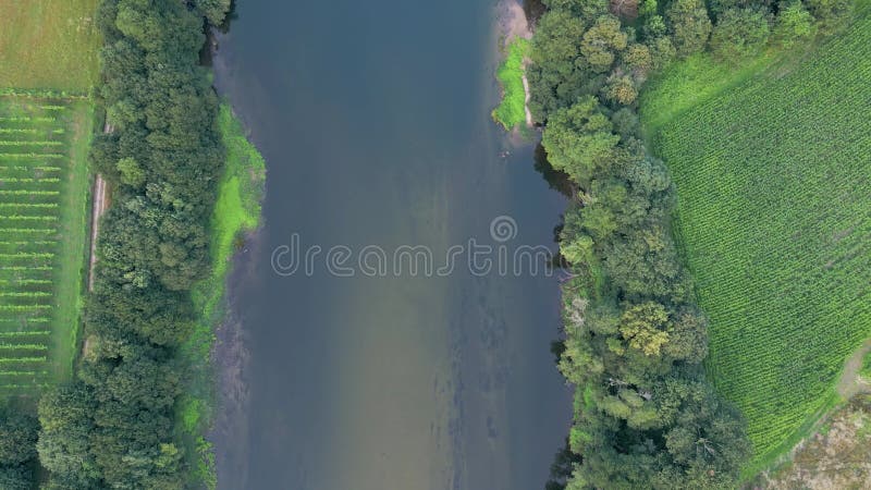 Top View of River Stream Flowing through Greenery Vegetations. Aerial ...