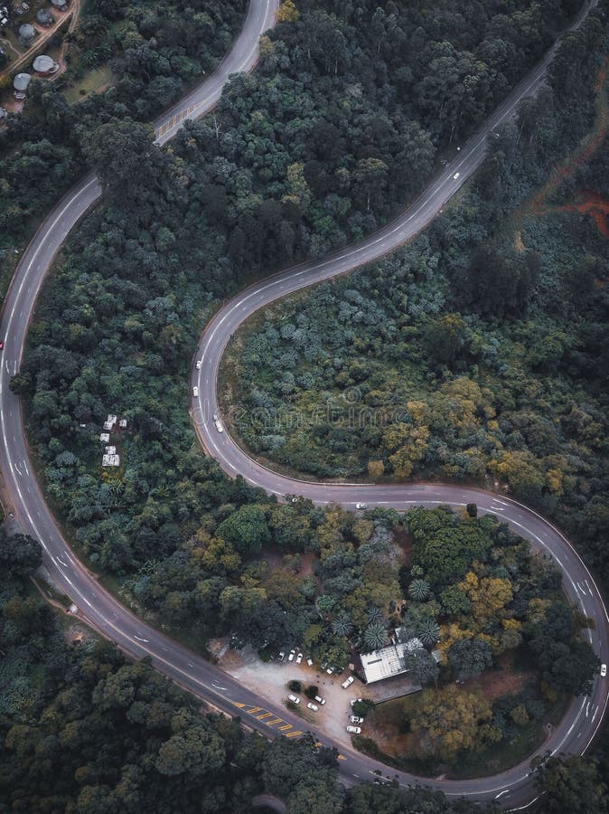 Top View of a Road in a Forest Stock Image - Image of aerial, view ...