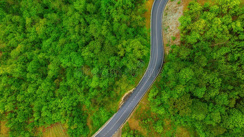 Top View of the Road in the Forest in Mountains. Wavy Road in Nature ...