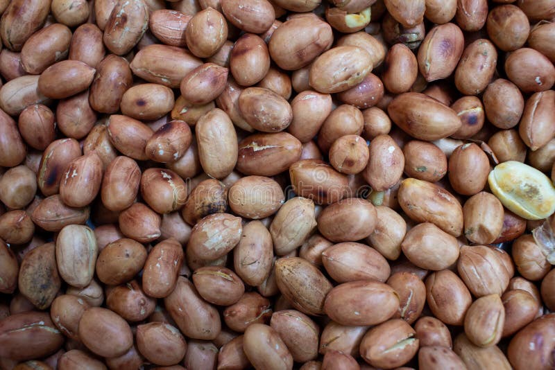 Top View of Roasted Groundnuts. Healthy Snack Rich in Protein Stock ...