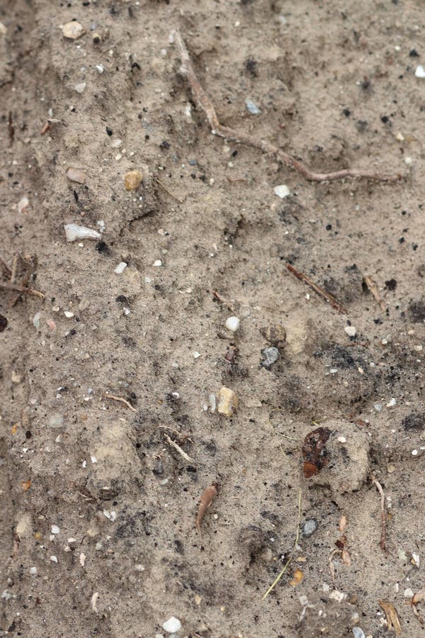 Top View of Rocks Scattered in Dirt and Soil Stock Image - Image of ...