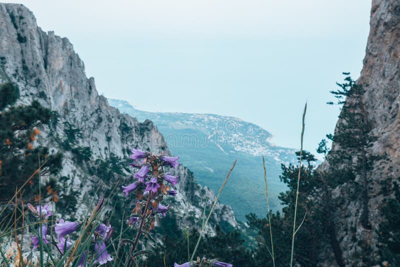 Top View of the Rocky Seashore. Stock Image - Image of horizon, white ...