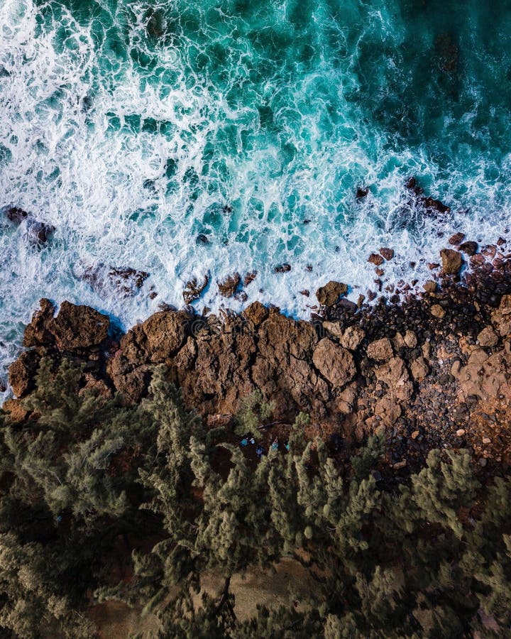 Top View of a Rocky Shoreline with Trees in Front of a Splashy Sea, a ...