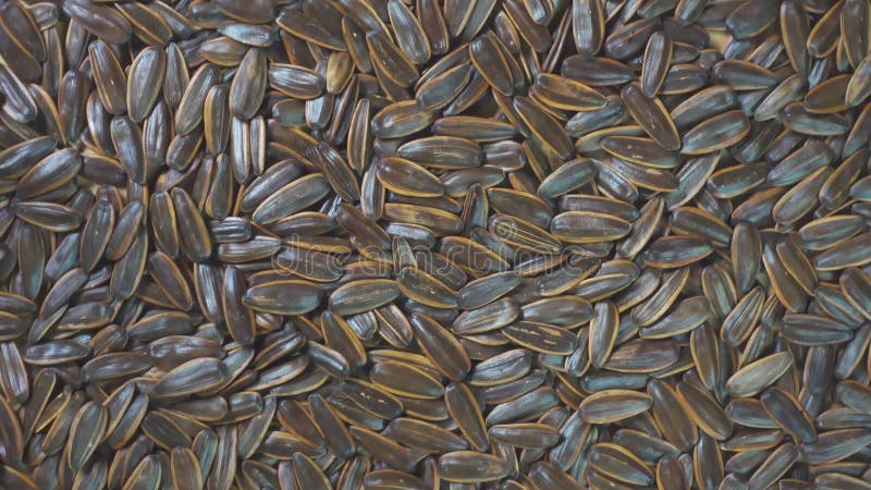Top View Rotation of Roasted Sunflower Seeds. Stock Video - Video of ...