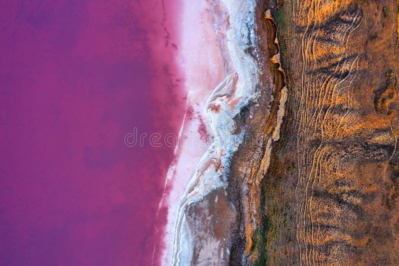 Top View of the Salt-covered Shore of Pink Lake. Stock Image - Image of ...