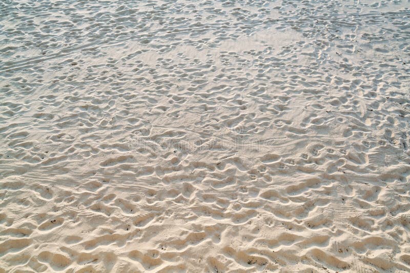 Top View of Sandy Beach.Background with Copy Space and Visible Dirty ... Top View of Sandy Beach.Background with Copy Space and Visible Dirty ...