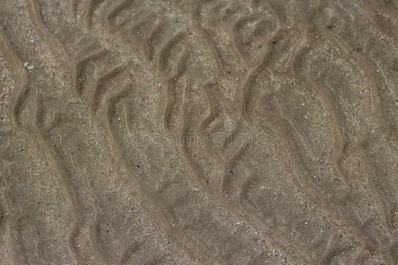 Top View of a Sandy Texture with a Pattern Stock Illustration ...