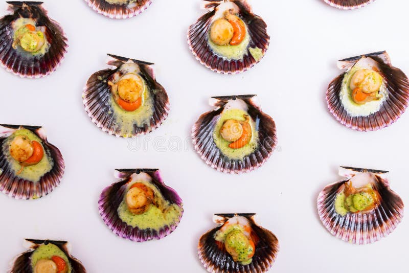Top View of Scallops or Clams Stock Photo - Image of traditional ...