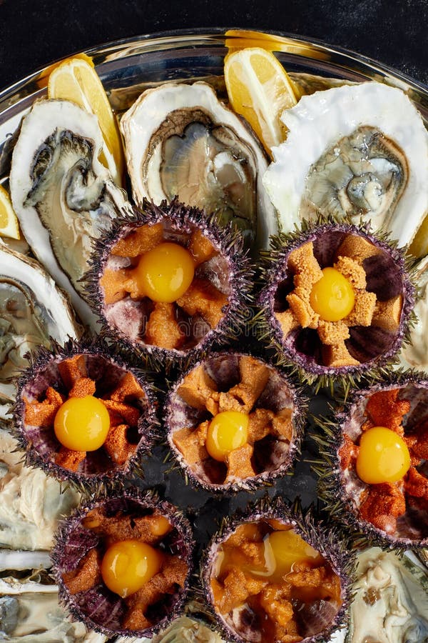 Top View of Seafood Platter: Shellfish, Oysters, Sea Urchin and ...