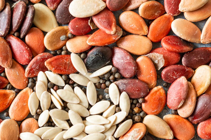 Top View of Several Types of Seeds: Pumpkin Seeds, Poppy Seeds, Bean ...