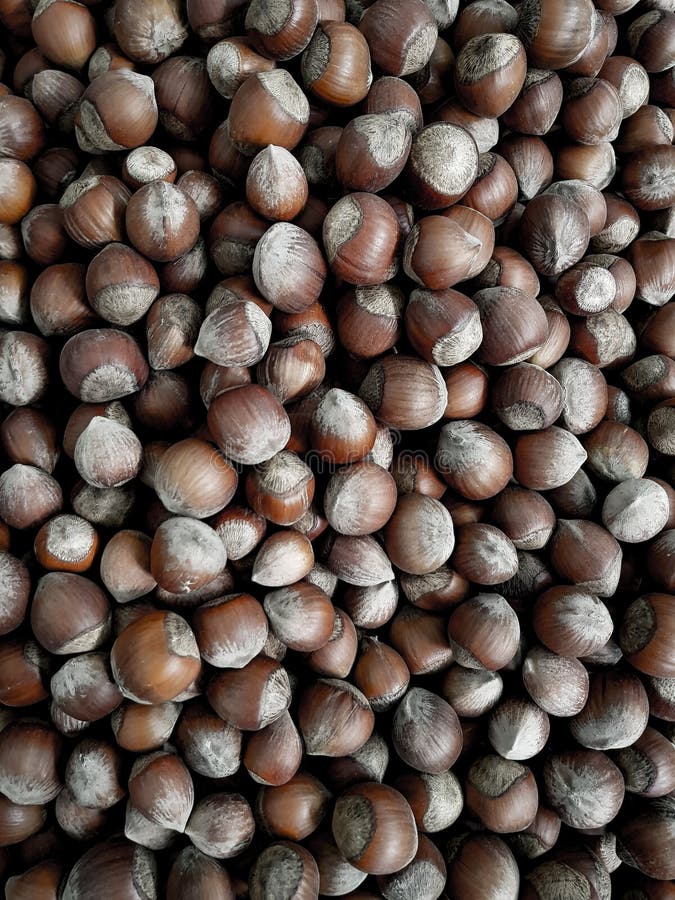 Top View of Shelled Hazelnuts. Texture for Nuts. Stock Photo - Image of ...