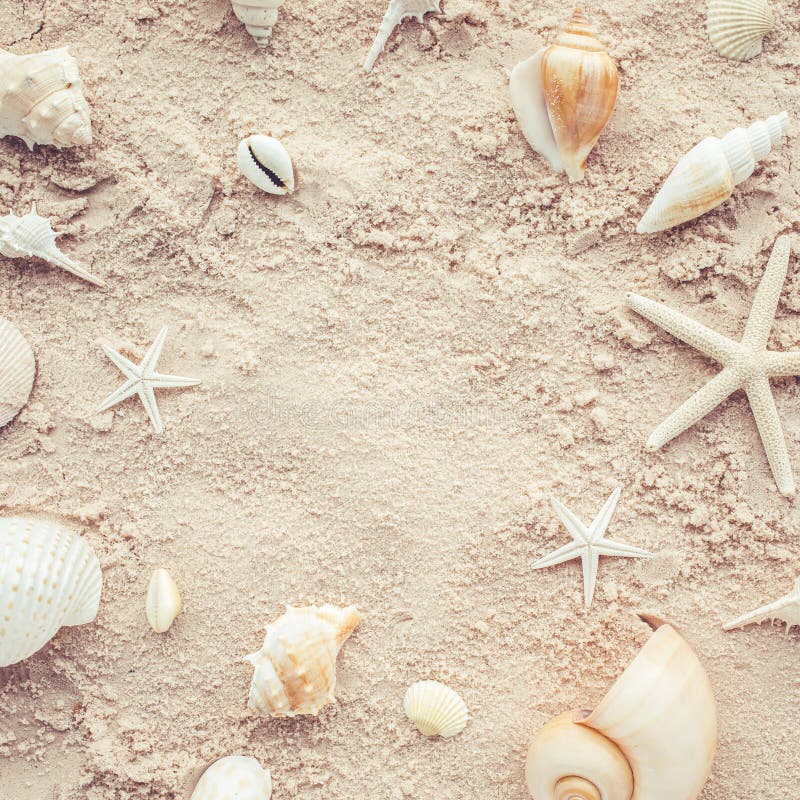 Top View of Shells on Beach.summer Concepts Stock Image - Image of ...